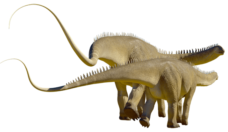 Sauropods | Australian Dinosaurs | Broome Trackmakers | Dinosaur Coast