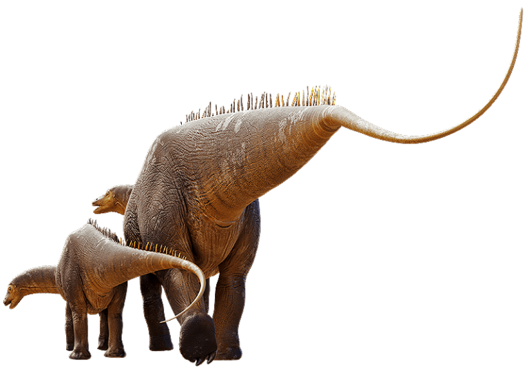 Sauropods | Australian Dinosaurs | Broome Trackmakers | Dinosaur Coast