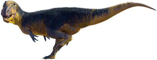 Theropods | Australian Dinosaurs | Broome Trackmakers | Dinosaur Coast