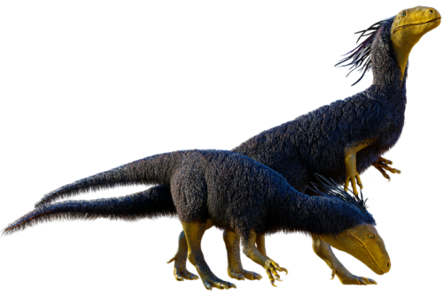 Theropods | Australian Dinosaurs | Broome Trackmakers | Dinosaur Coast